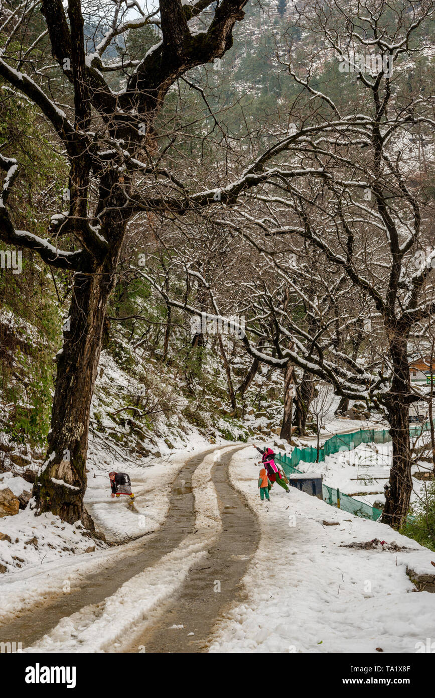 Kullu, Himachal Pradesh, India - Feburuary 08, 2019 : Women playing ...