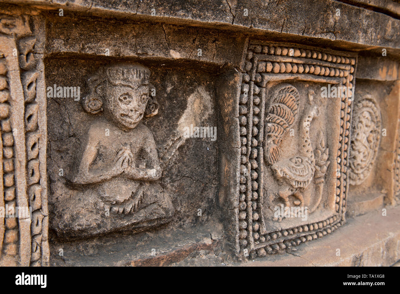 National bird of myanmar hi-res stock photography and images - Alamy