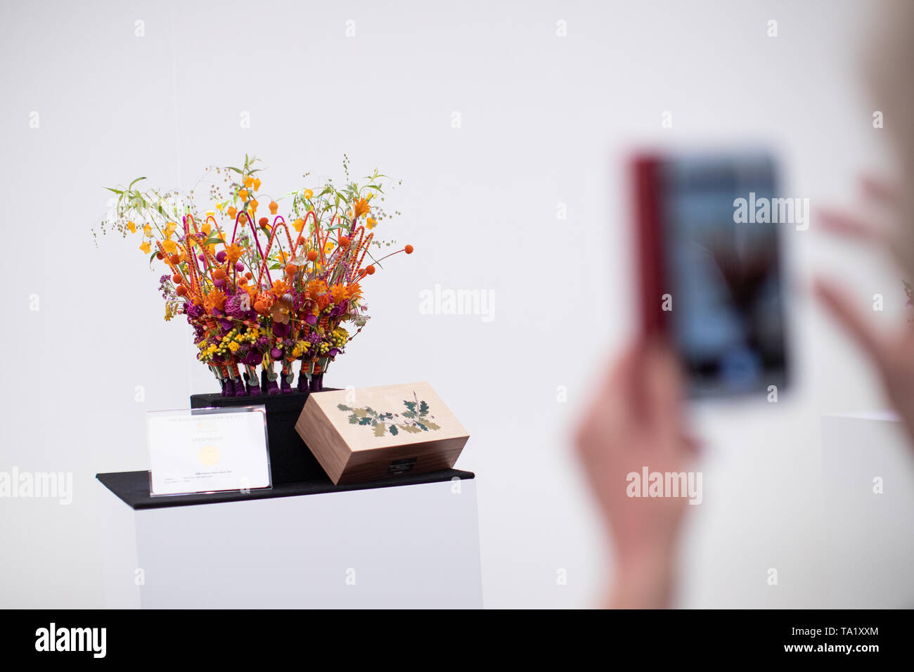 A views photographers gold medal winner an to Chelsea Florist of the ...