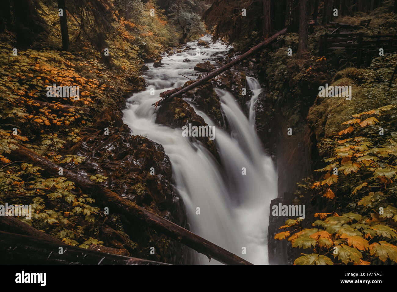 Sol duc falls trail hi-res stock photography and images - Alamy