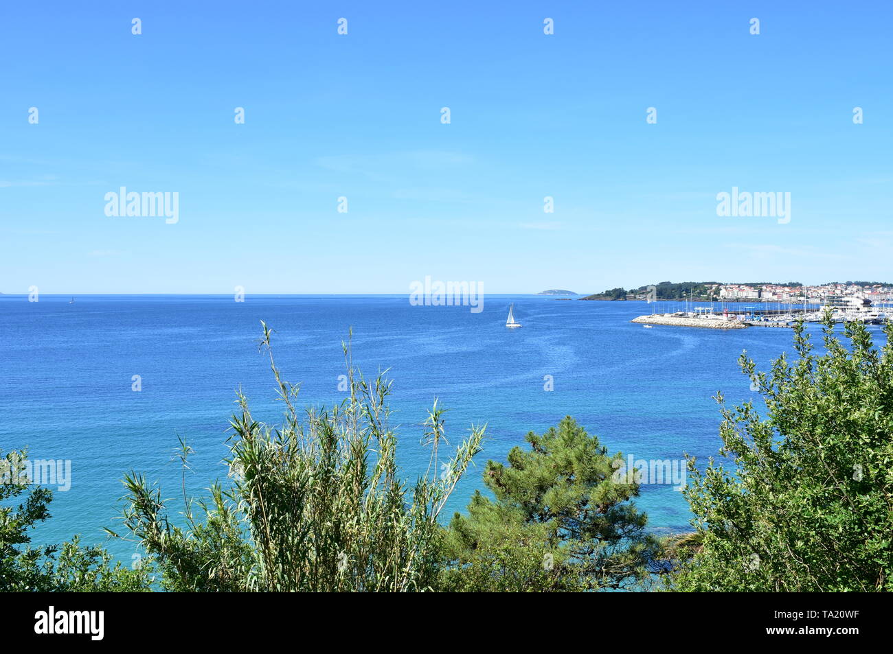 Bay with sailing boat, trees and harbour. Rias Baixas, Spain Stock ...