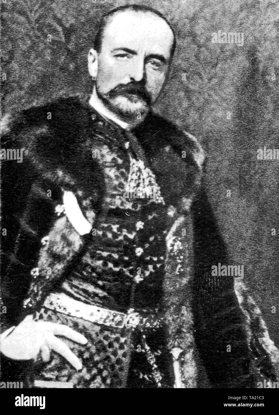 Count stephen tisza hi-res stock photography and images - Alamy