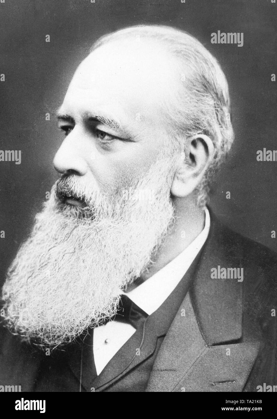 Portrait of Austrian surgeon Christian Albert Theodor Billroth Stock ...