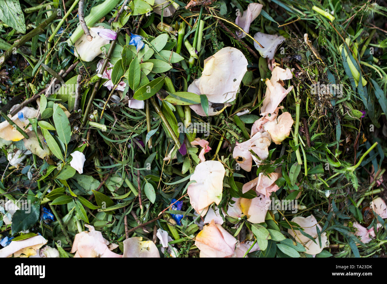 Green matter hi-res stock photography and images - Alamy