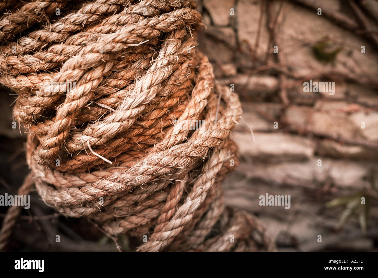 Natural rope beige color in the hank Stock Photo - Alamy