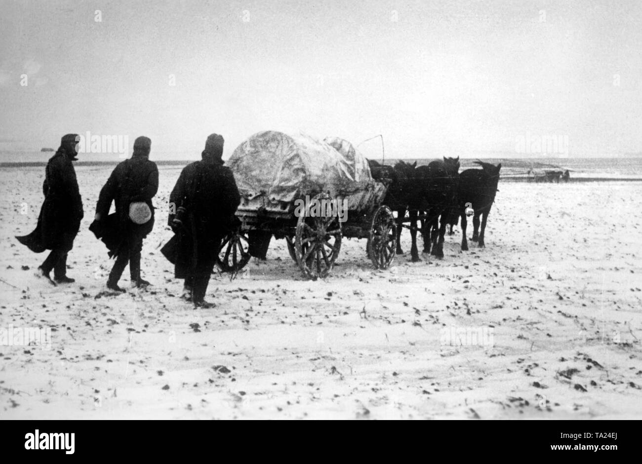 After the lost Battle of Moscow German soldiers retreat to the "winter ...