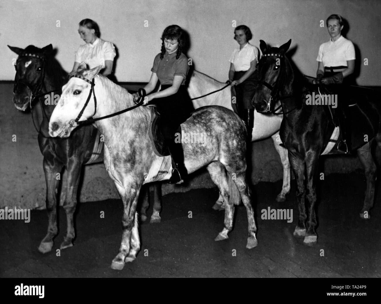 In a riding hall of the Tattersall AG at the Berlin Tiergarten (Animal ...