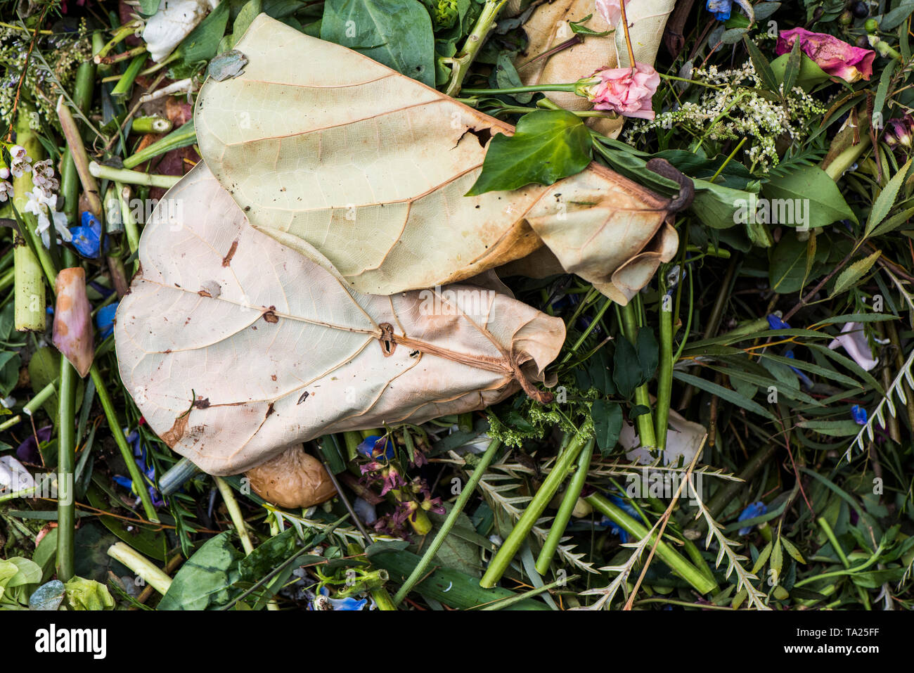 Compostable flowers hi-res stock photography and images - Alamy