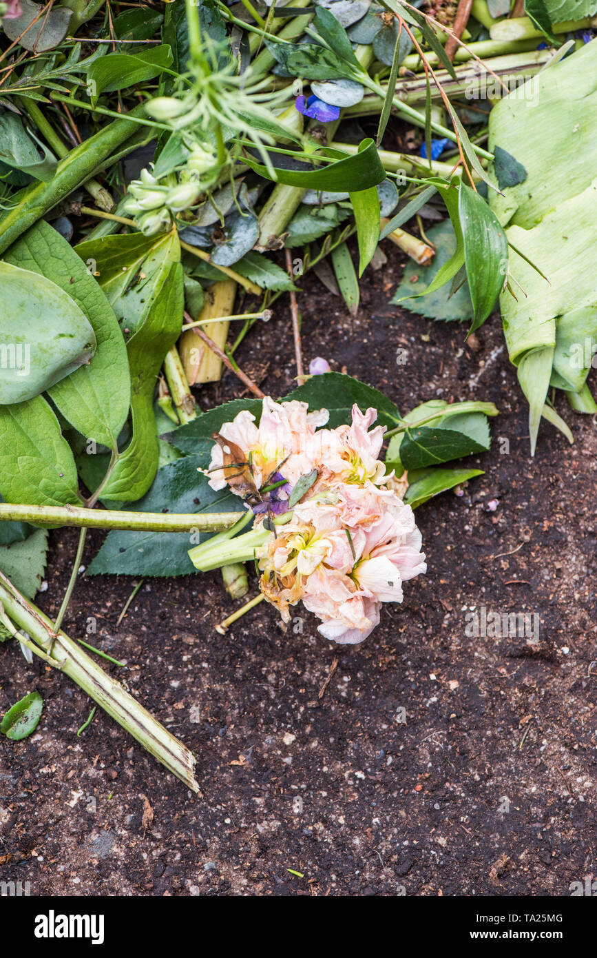 Green matter hi-res stock photography and images - Alamy