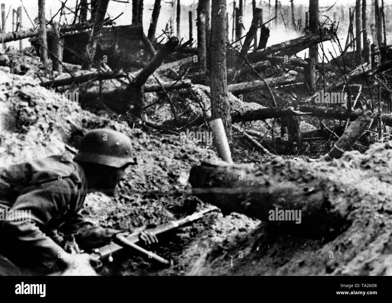 Mauser rifle hi-res stock photography and images - Alamy