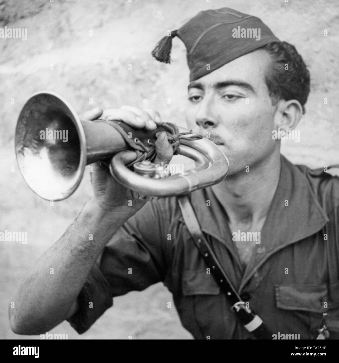 The close-up shows a trumpeter with his trumpet and the Gorillo cap of ...