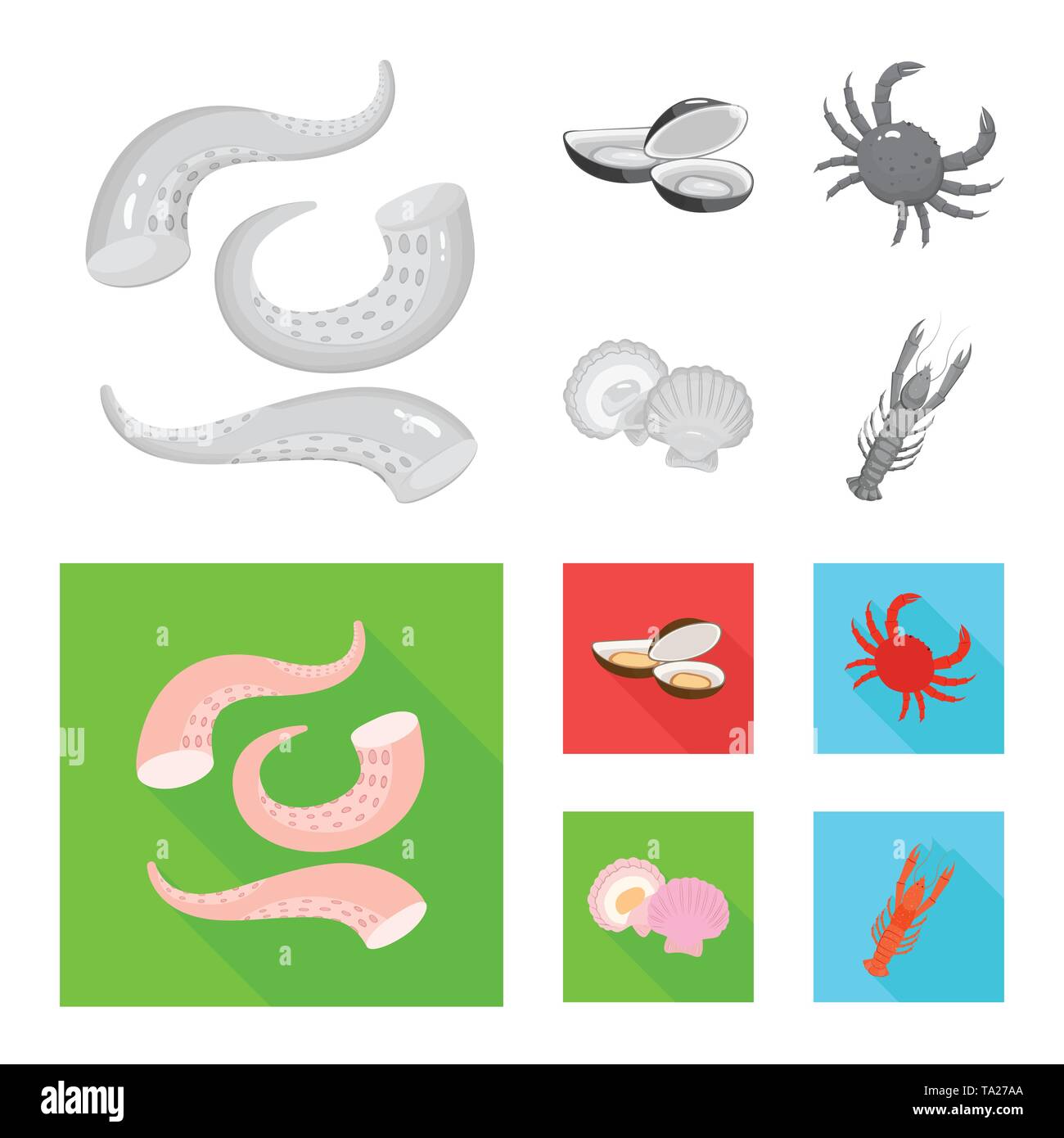octopus,mussel,crab,jellyfish,lobster,squid,jelly,shell,fish,cooked ...