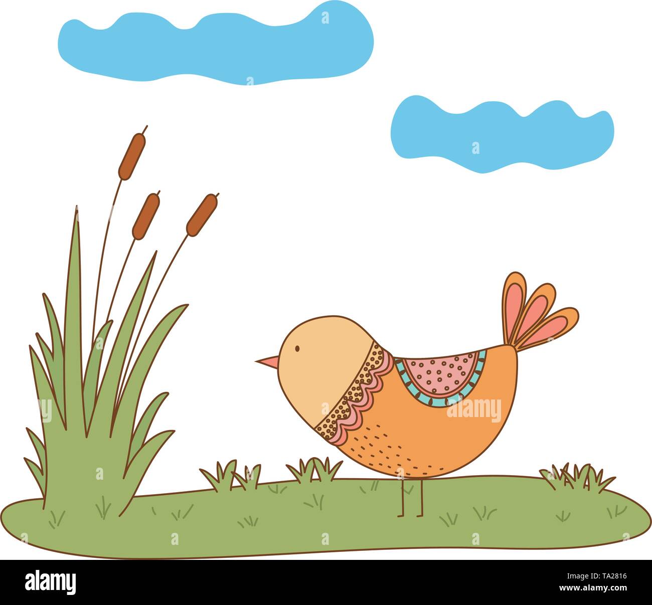 Bird cartoon design, Animal cute zoo life nature and fauna theme Vector ...