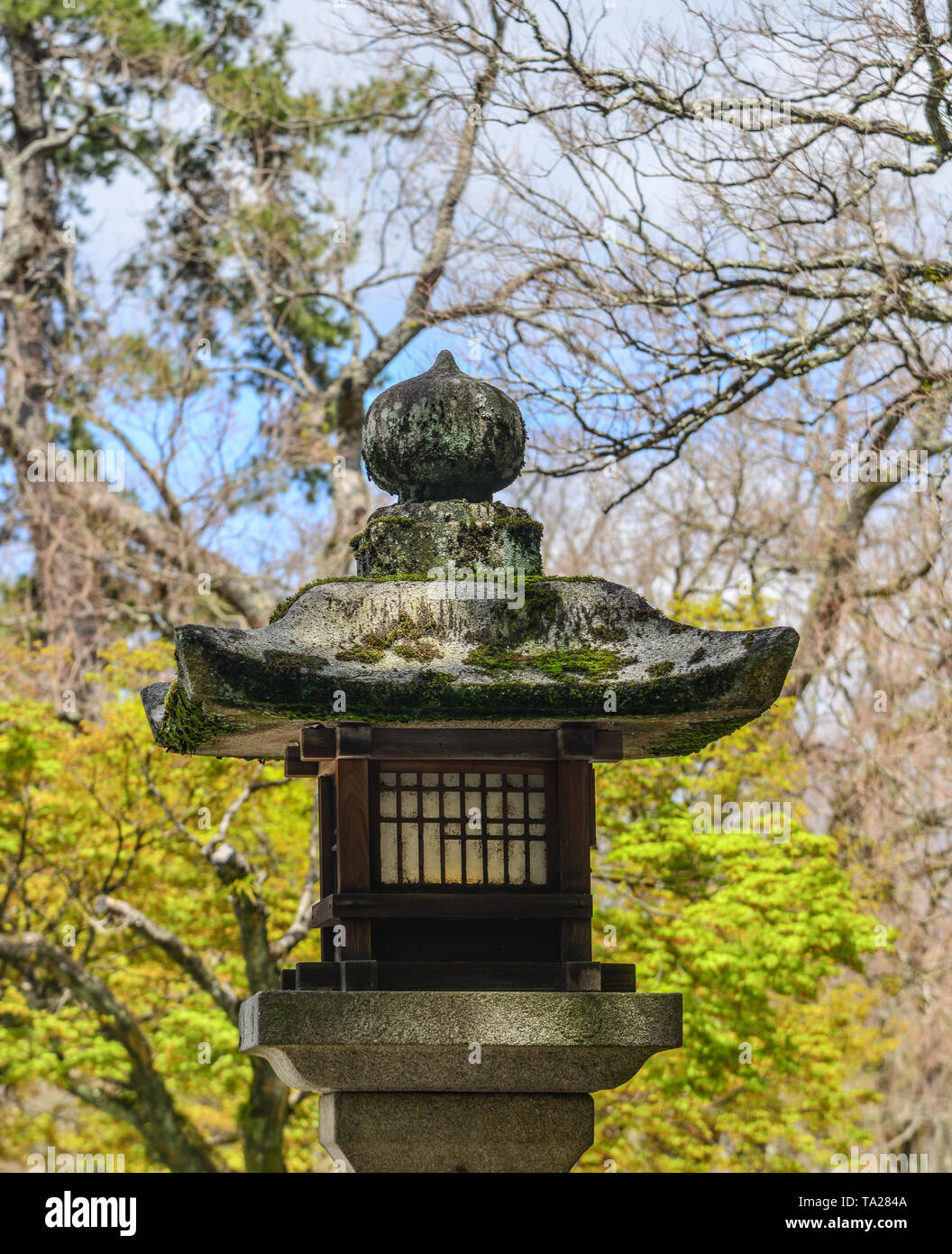 Japanese stone lantern at zen garden in Nara Park, Japan Stock Photo ...