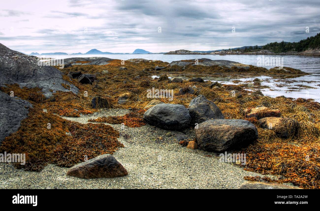 Rough nature in Norwegian landscape in the summer Stock Photo - Alamy