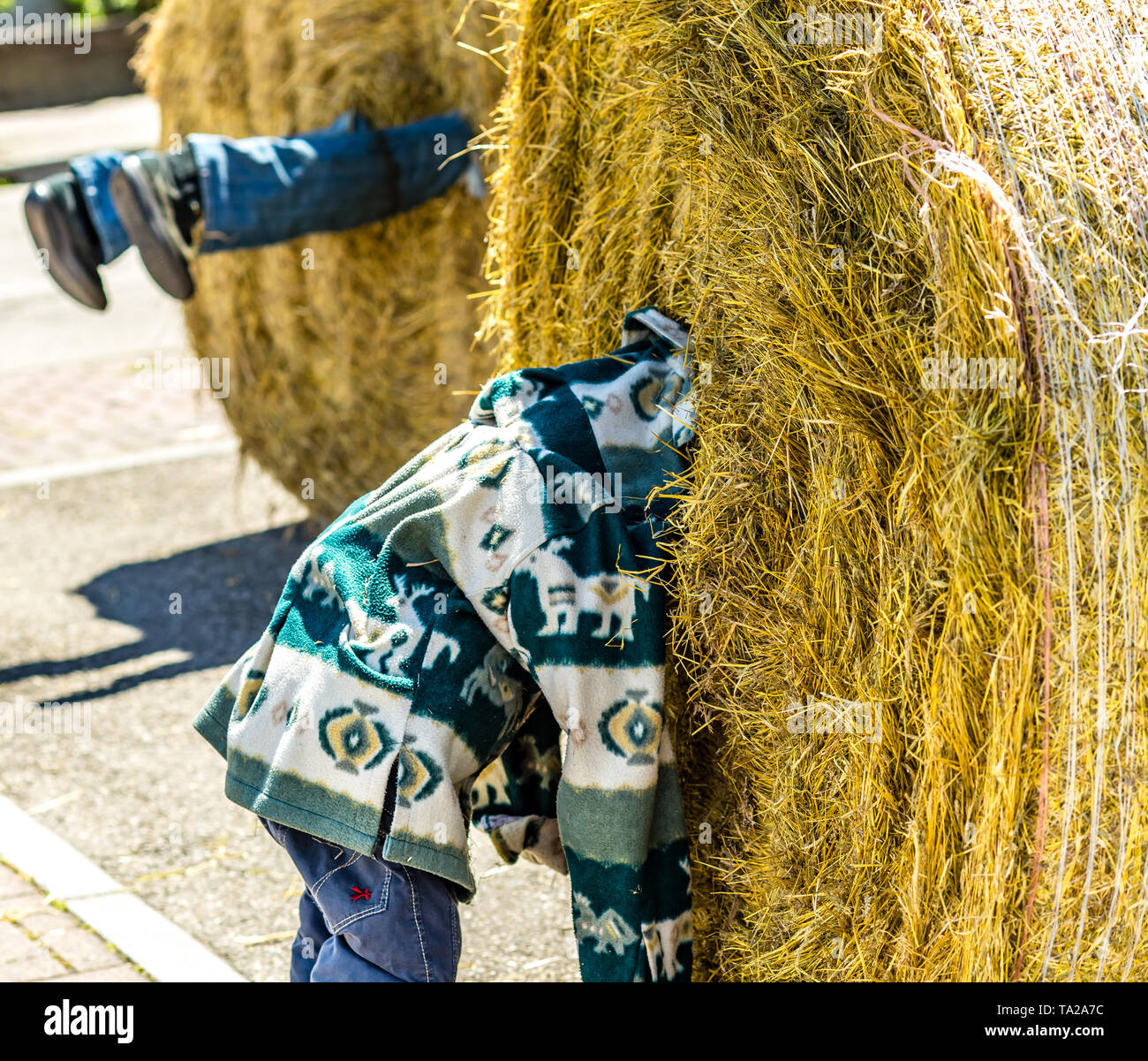 ALFONSINE (RA), ITALY - MAY 16, 2019: sunlight is enlightening dummies ...