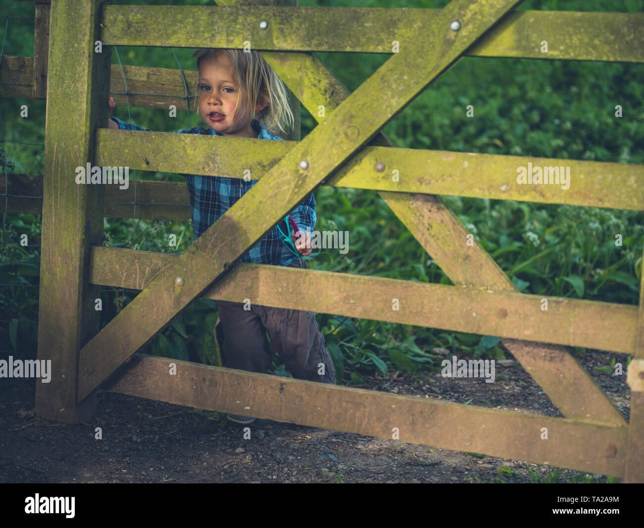 A little toddler is opening a wooden gate in the woods Stock Photo - Alamy