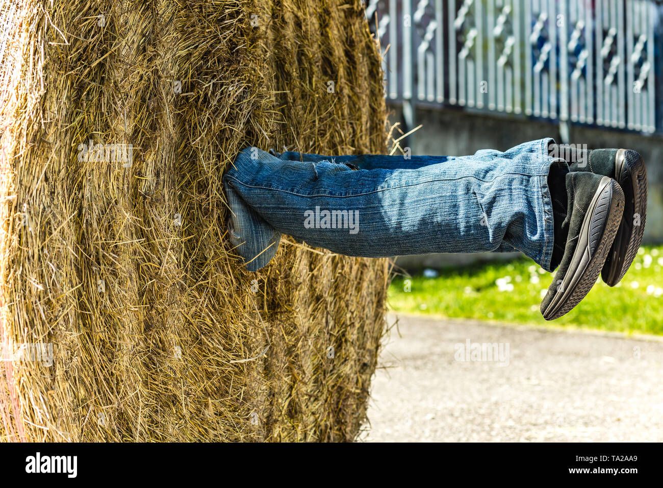 Hay bale legs hi-res stock photography and images - Alamy
