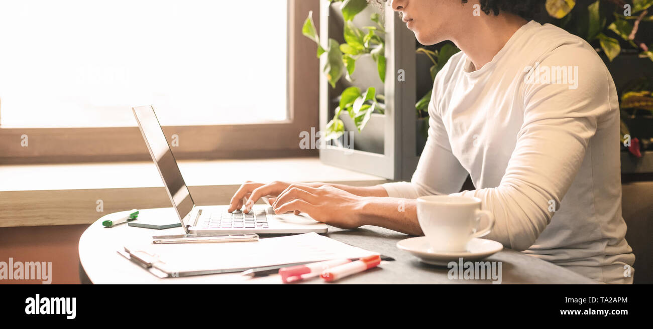Concentrated guy browsing on laptop in cafe Stock Photo - Alamy