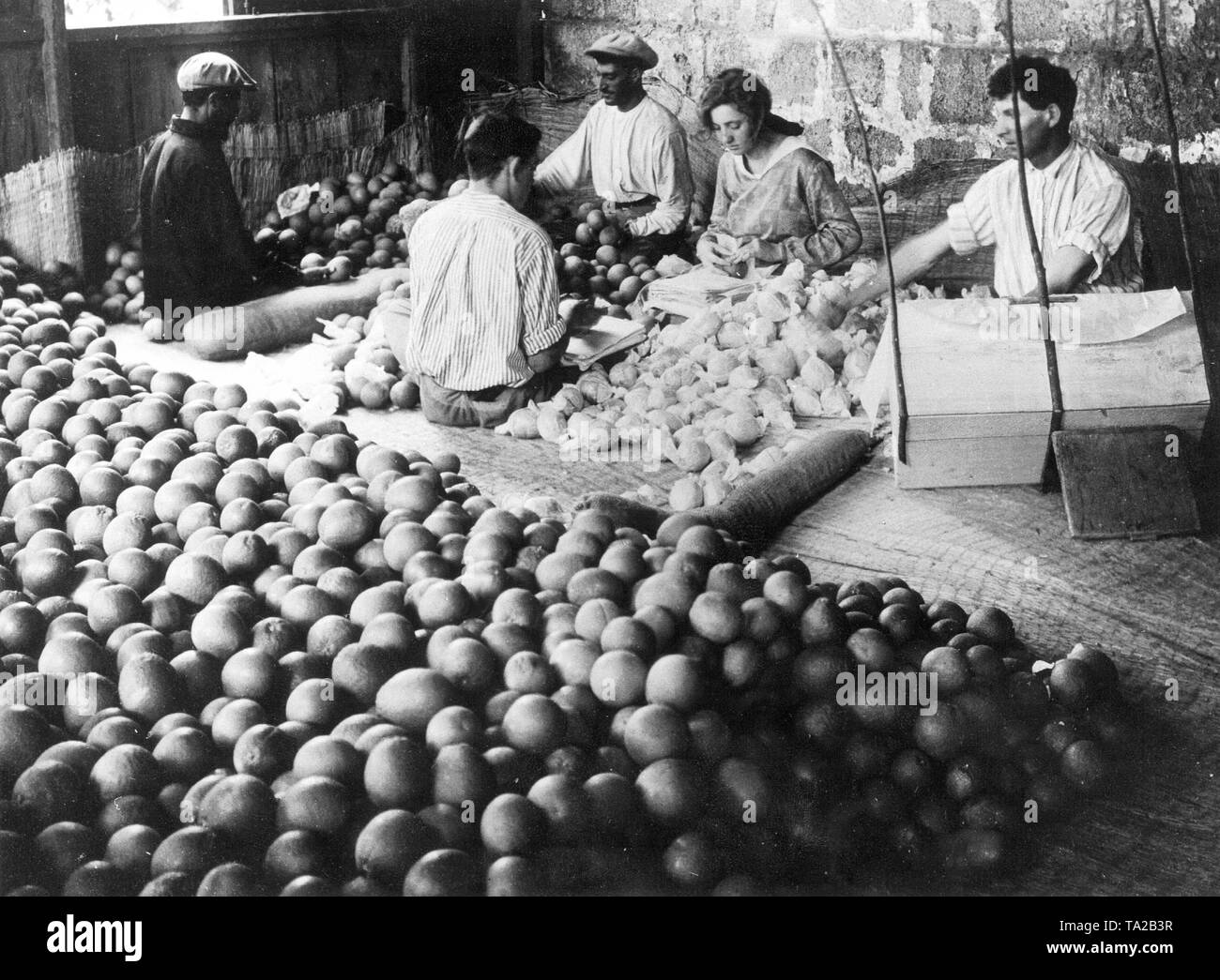Jewish kibbutz hi-res stock photography and images - Alamy