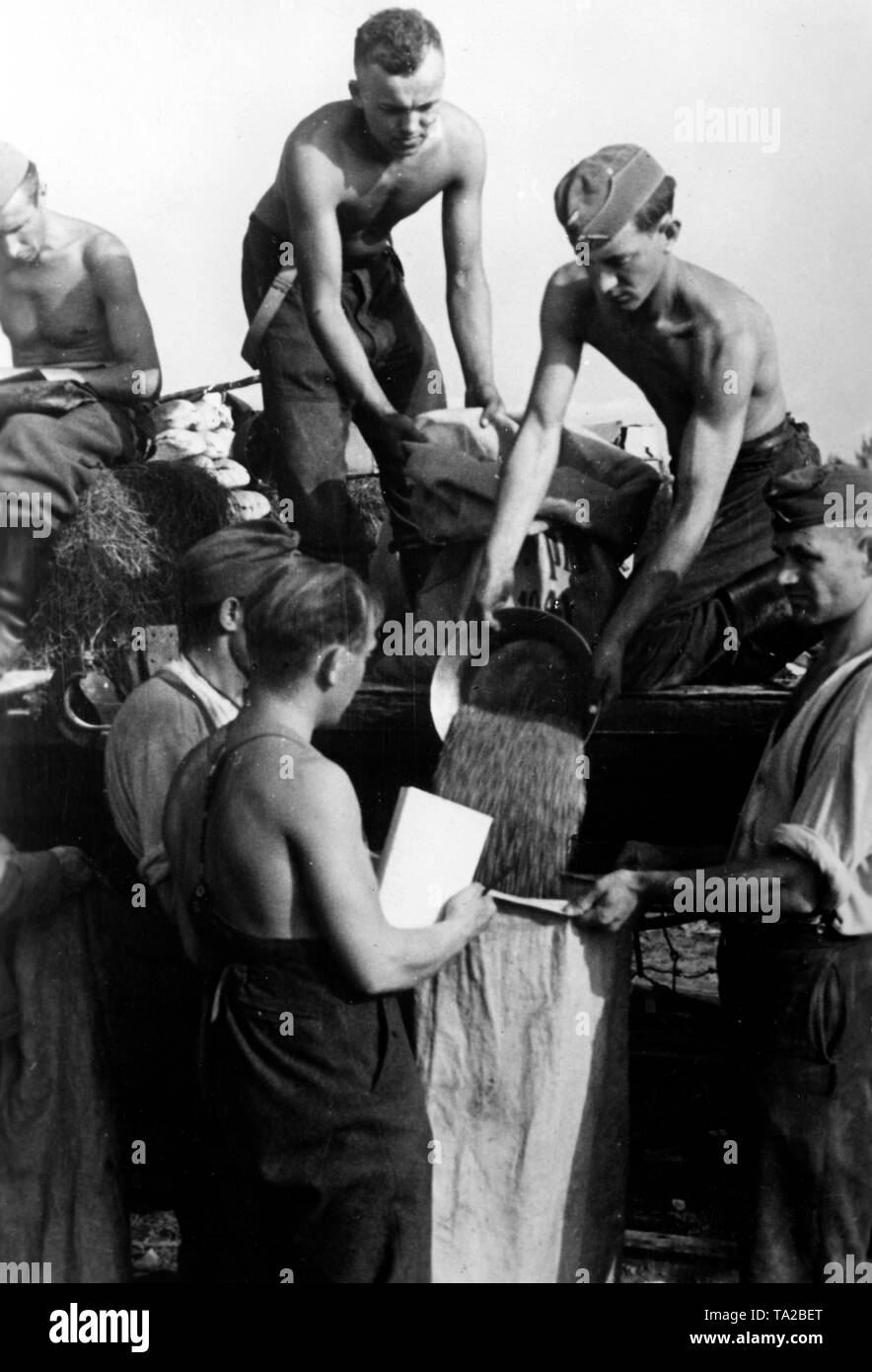 German soldiers pour grain into sacks from a train wagon. They are ...