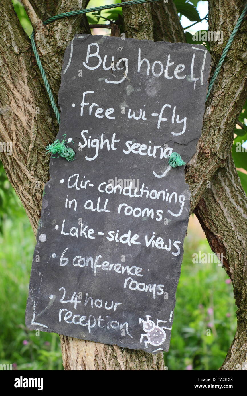 Bug hotel sign welcoming insects in a wildlife friendly garden - UK ...