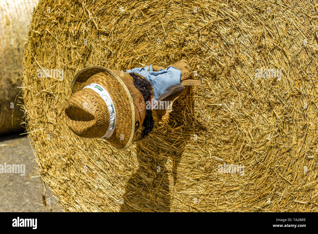 ALFONSINE (RA), ITALY - MAY 16, 2019: sunlight is enlightening dummy ...