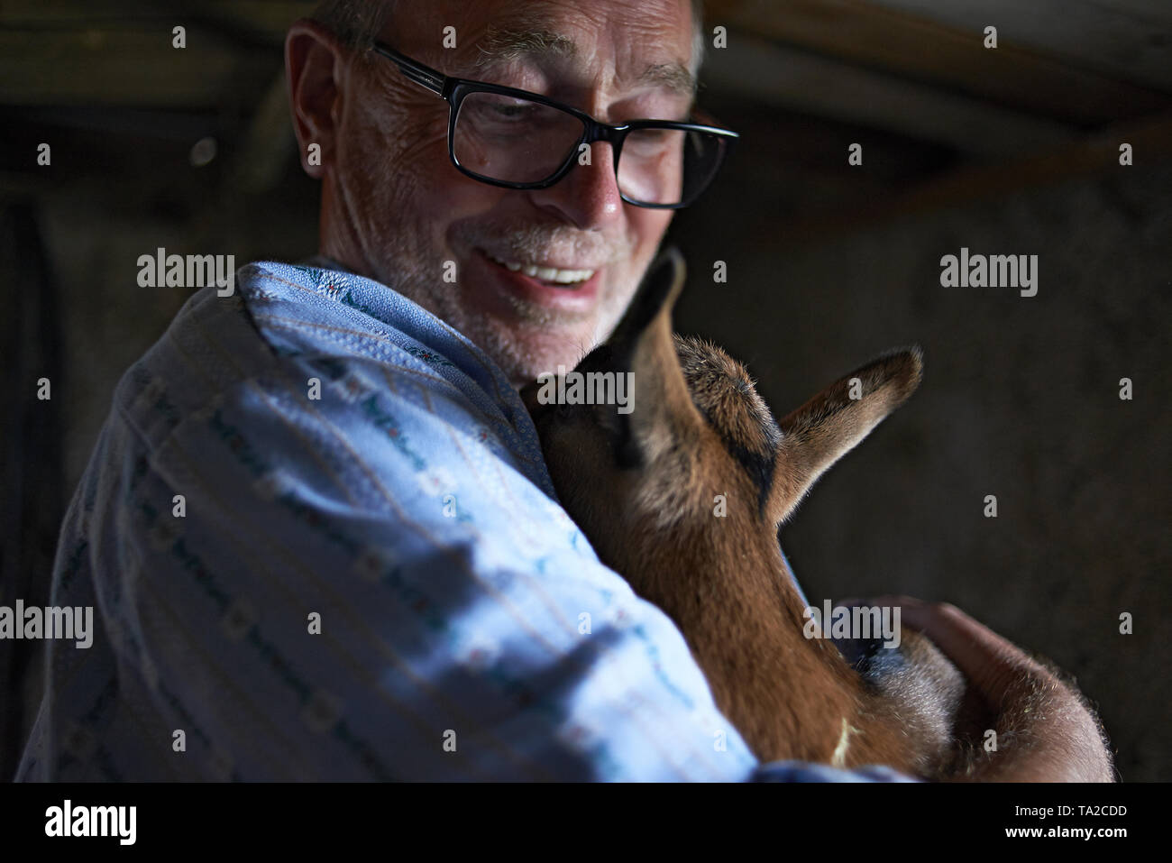 Farmer happily hugging a new born goat with a big smile on his face ...