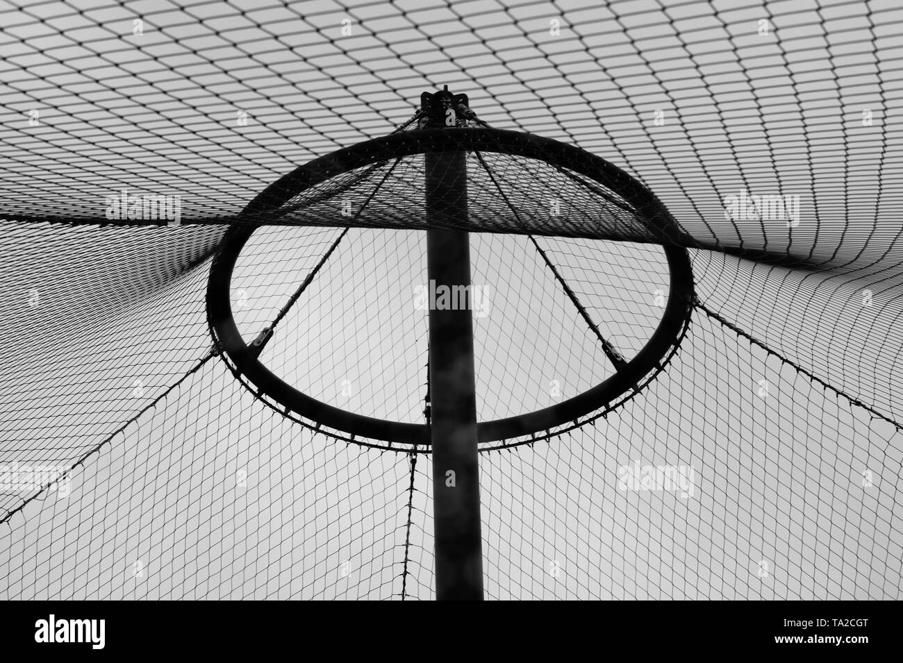 Abstract image of metal circle frame and pole with suspending wires and ...