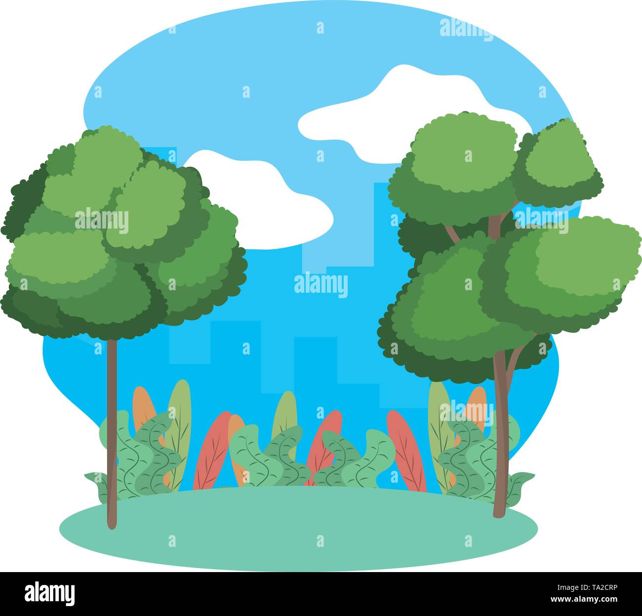 Trees in forest design, Green environment nature landscape and foliage ...