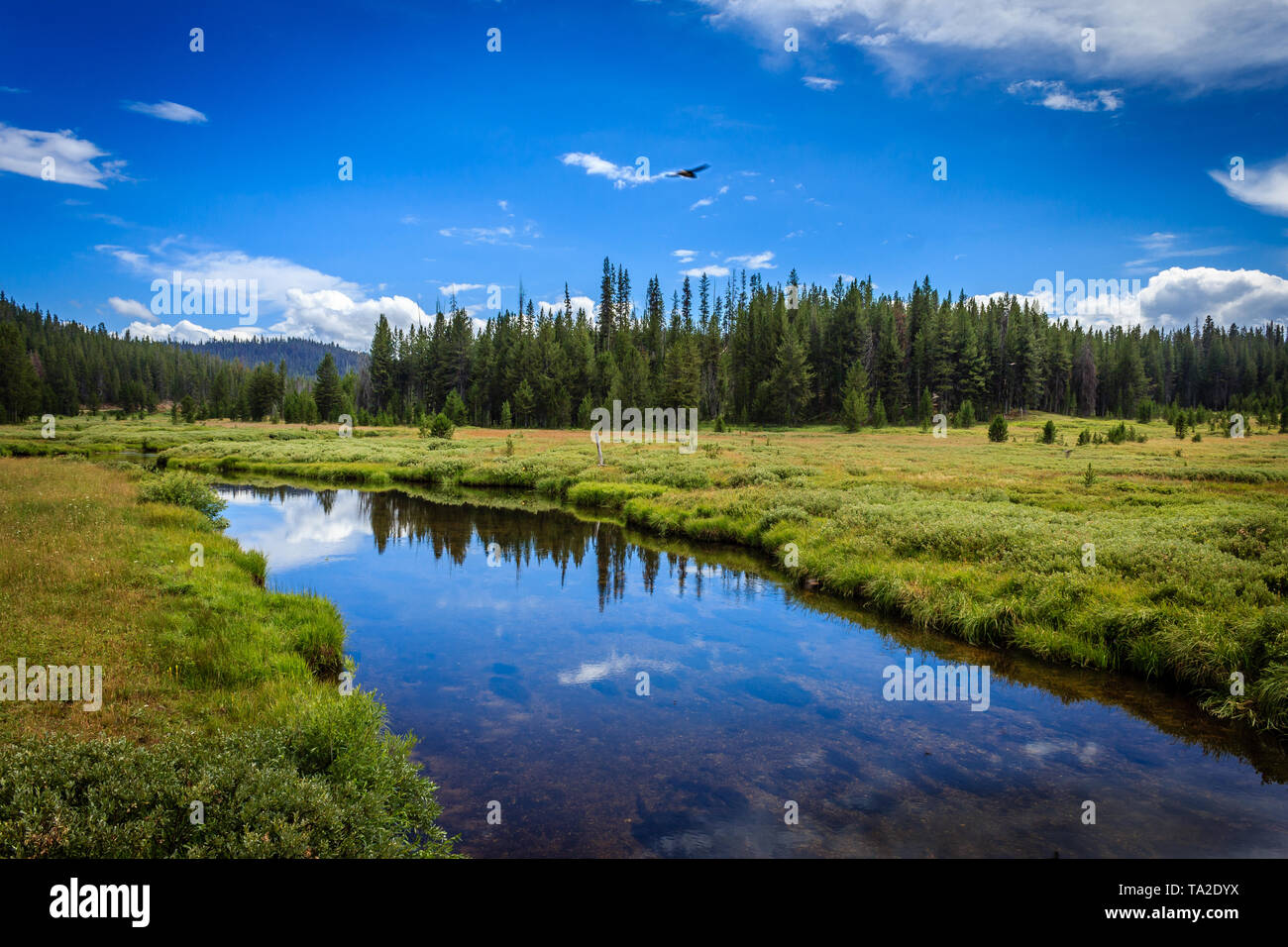 Bear Valley Creek winding through the Boise National Forest Stock Photo ...