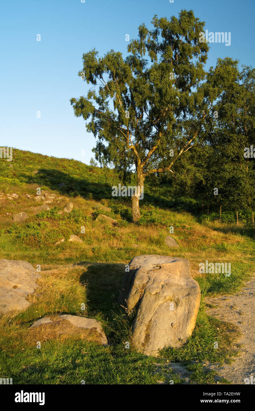 Burbage south valley peak district hi-res stock photography and images ...