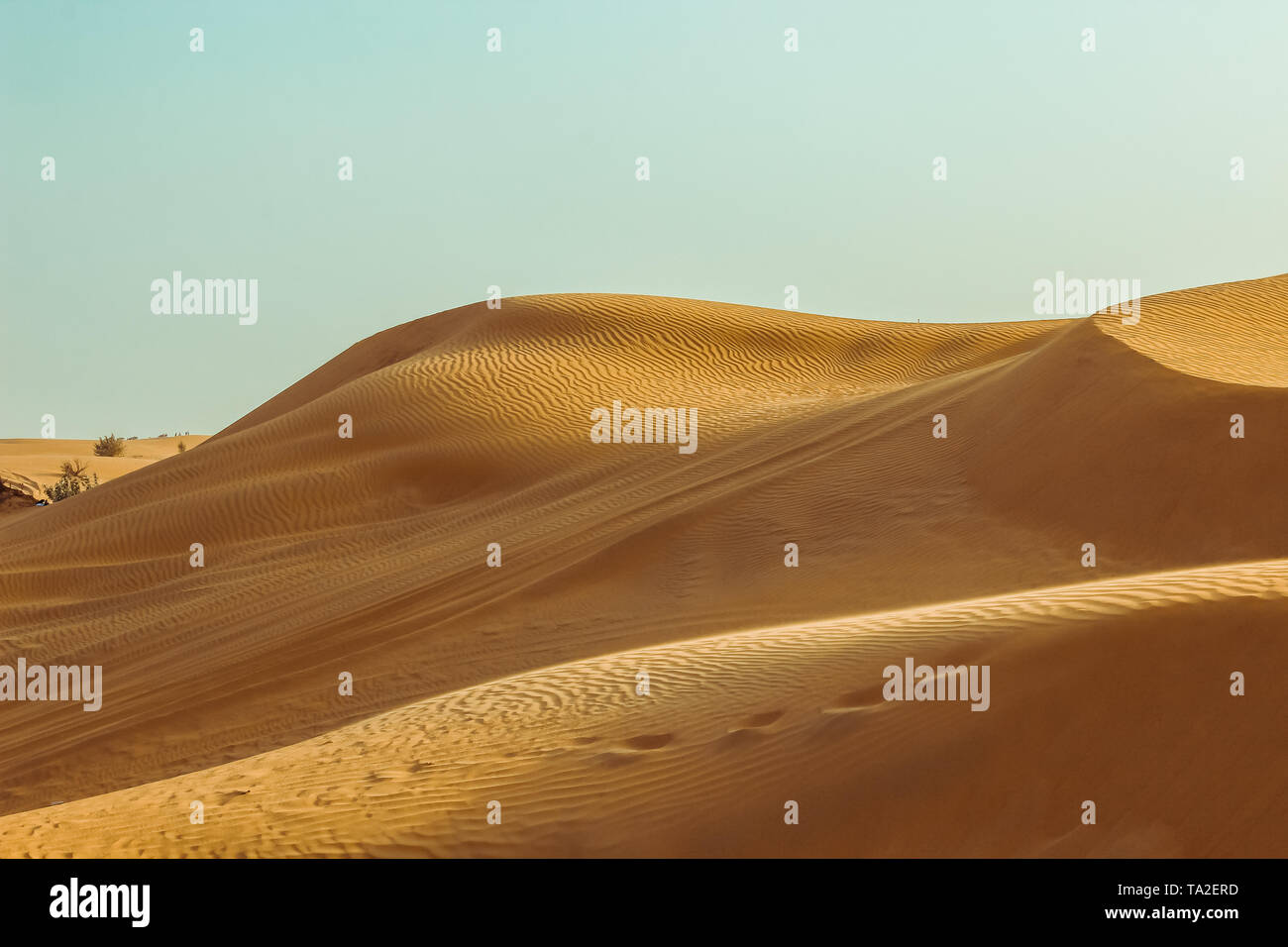 Sand dunes of the desert close up. Dubai 2019 Stock Photo - Alamy
