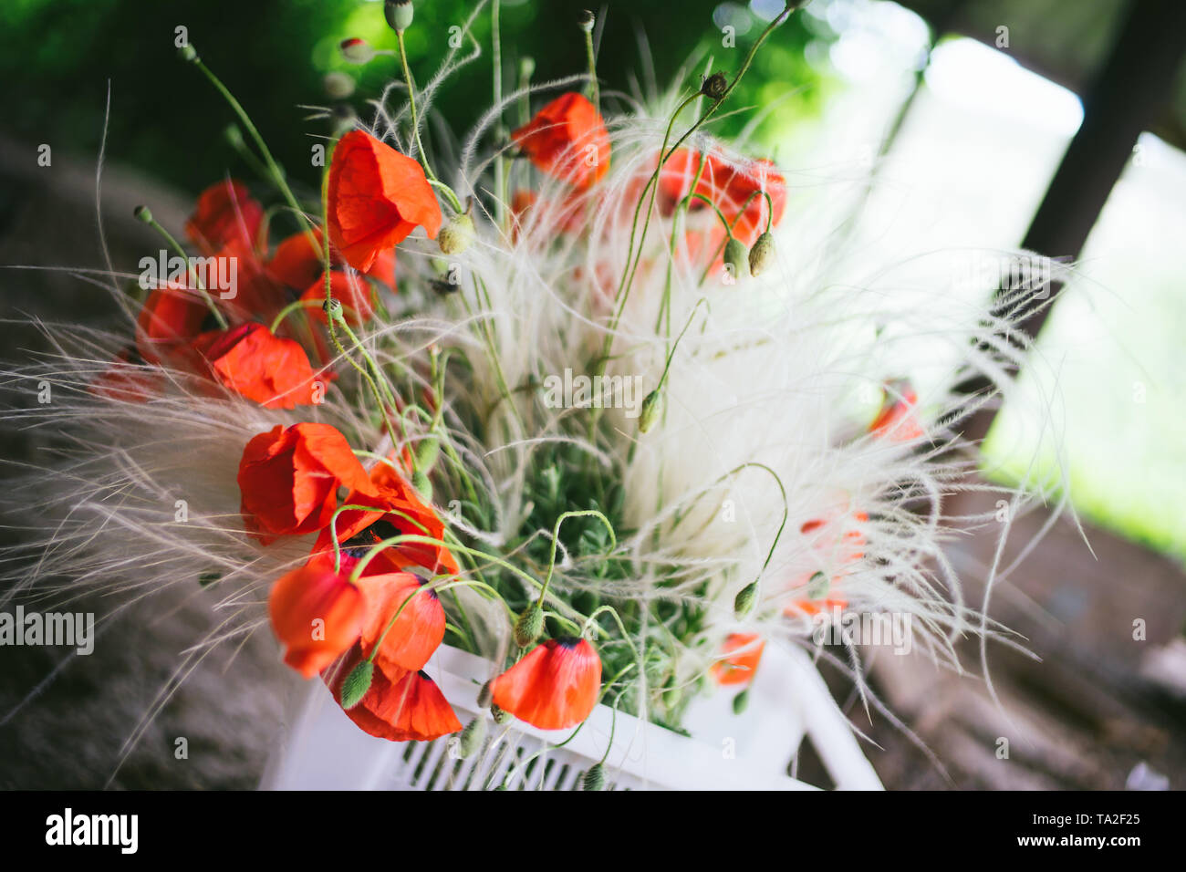 A bouquet of red poppies in a white plastic box for the delivery of ...