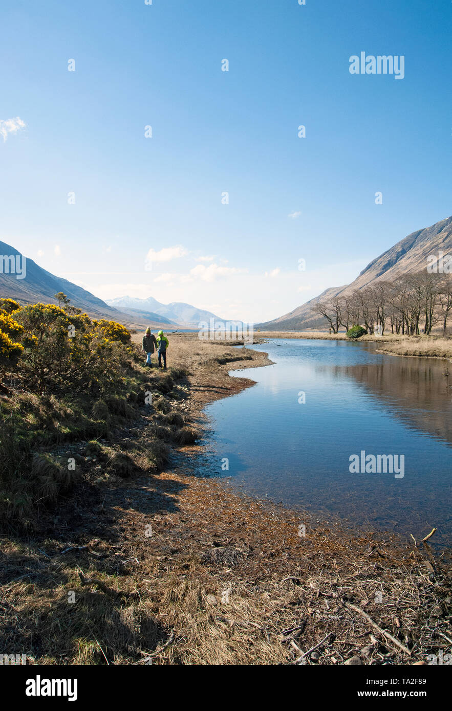 Hikers alongside the River Etive which runs through Glen Etive reaching ...