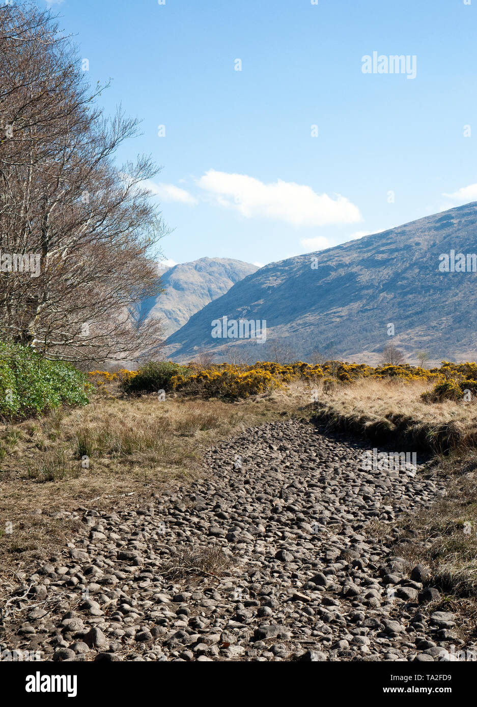 A dried up stream bed running beside the River Etive as it flows into ...