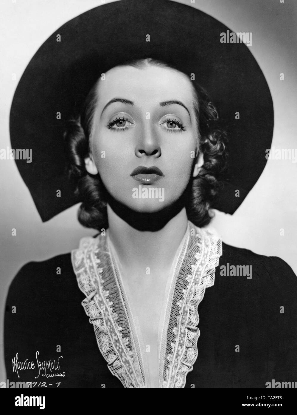 Templeton fox hi-res stock photography and images - Alamy