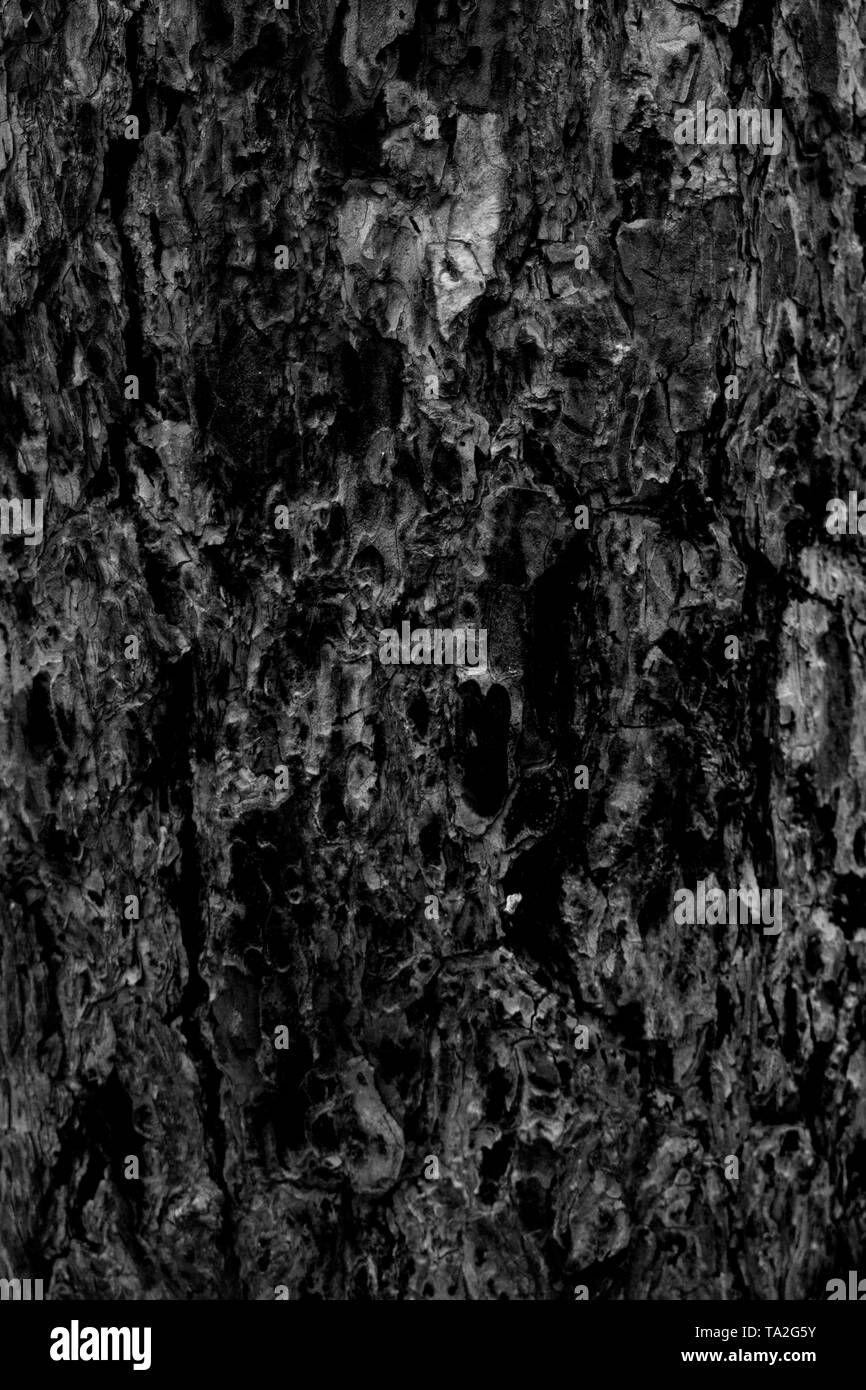 Amber black background Black and White Stock Photos & Images - Alamy