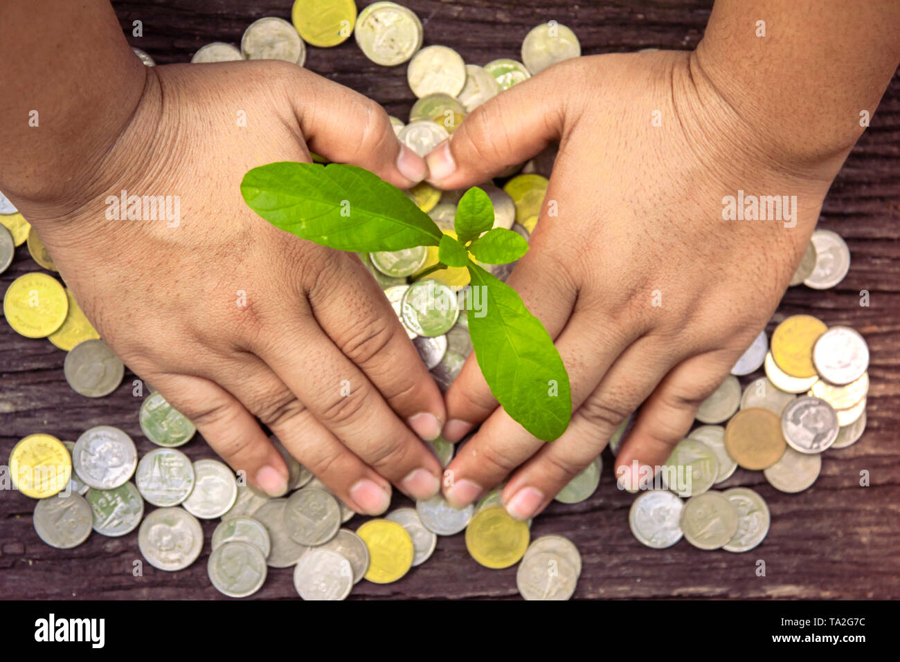 Trees with money, saving money and growing hands Stock Photo - Alamy