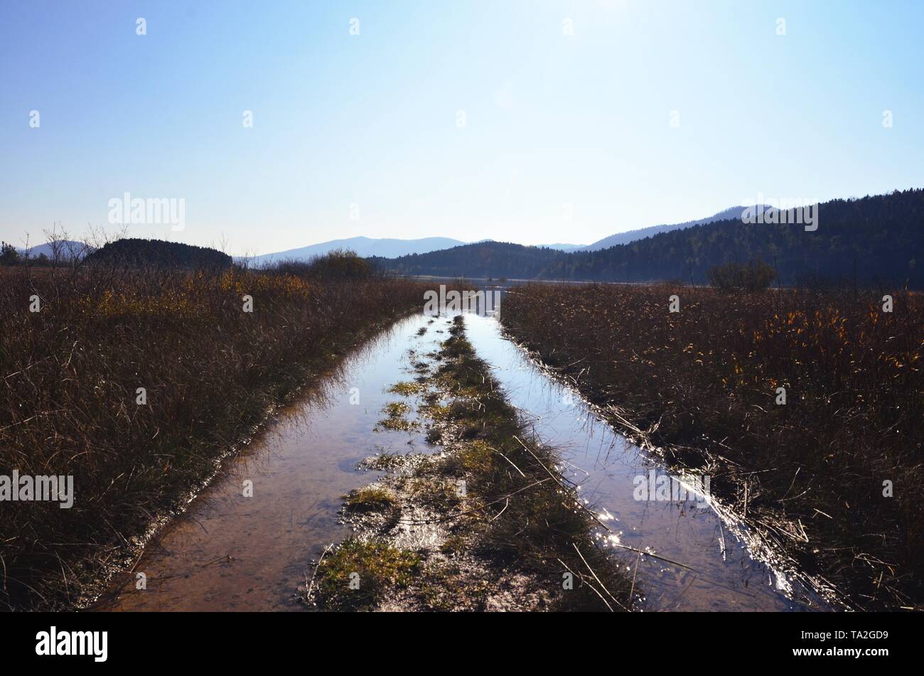 A waterway in an agricultural field Stock Photo - Alamy