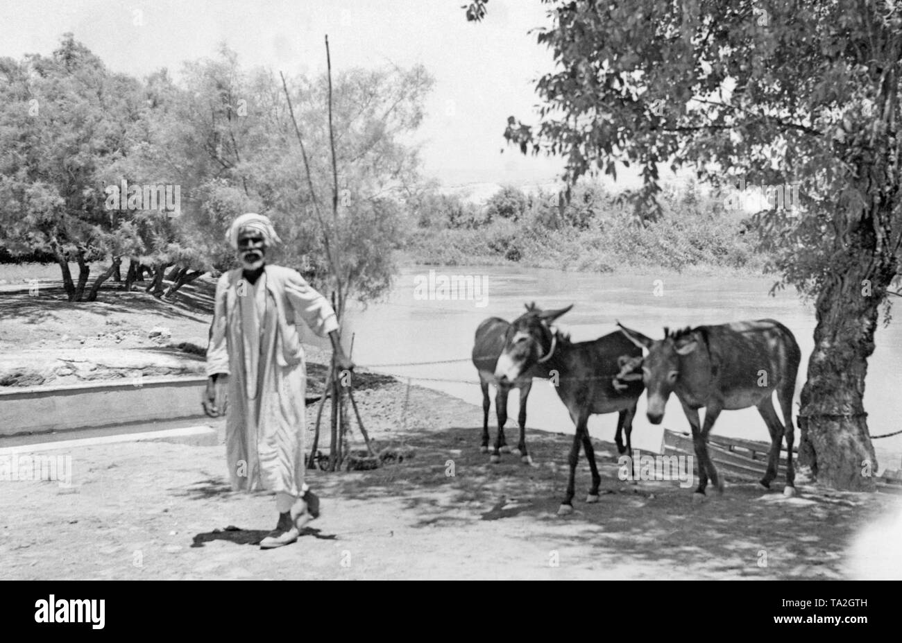 A peasant with three donkeys on the site of the Jordan, where Jesus was ...
