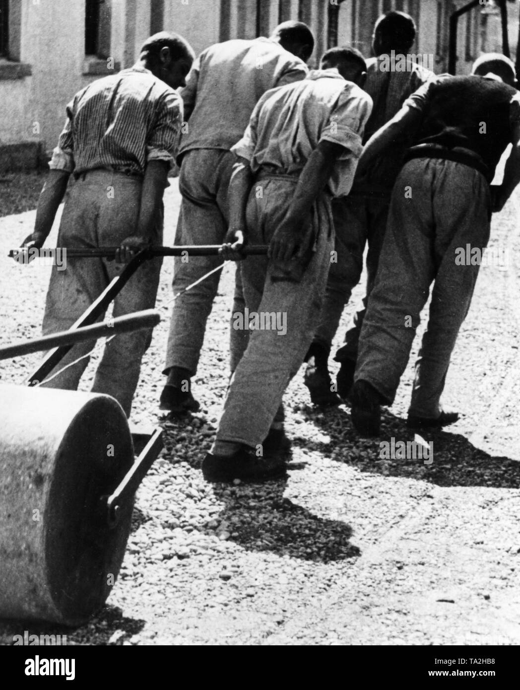 Prisoners in the Dachau concentration camp during road construction ...