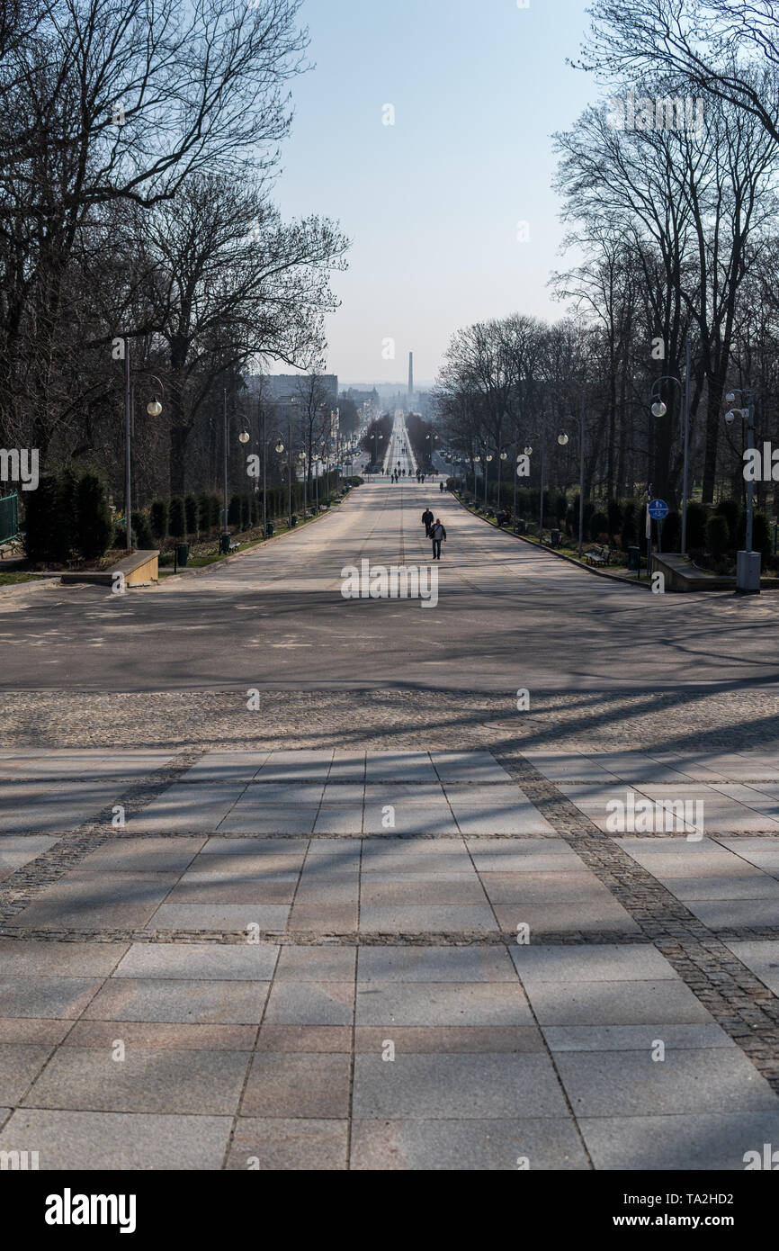Long straight path through wood hi-res stock photography and images - Alamy