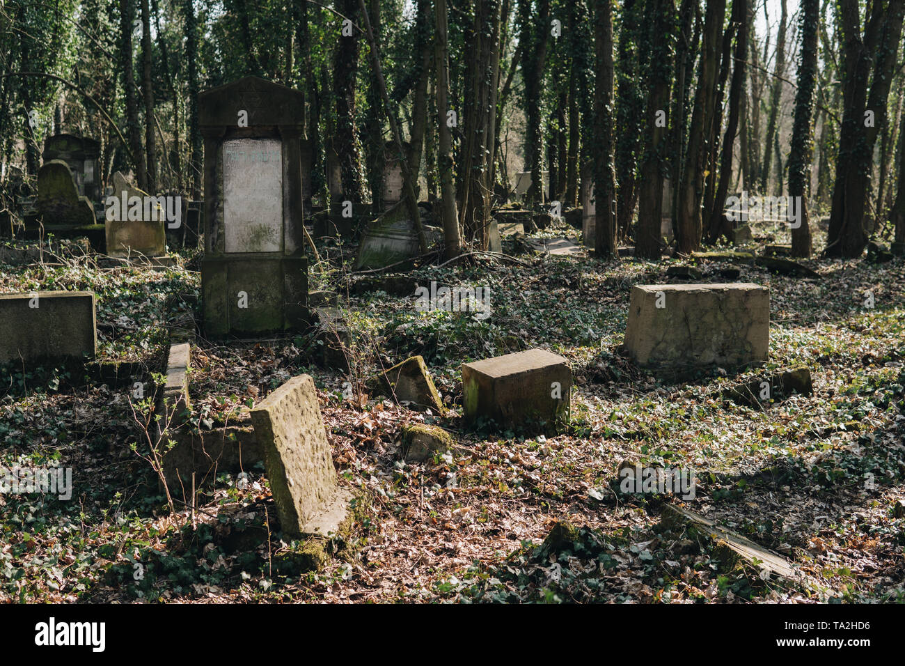 landscape of old jewish cemetery with destroyed tombstones in city of ...