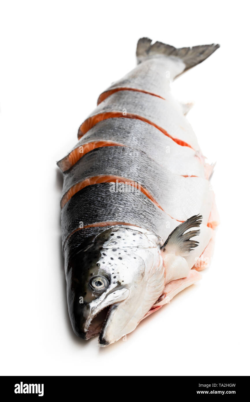 Salmon slice one piece Cut Out Stock Images & Pictures - Alamy