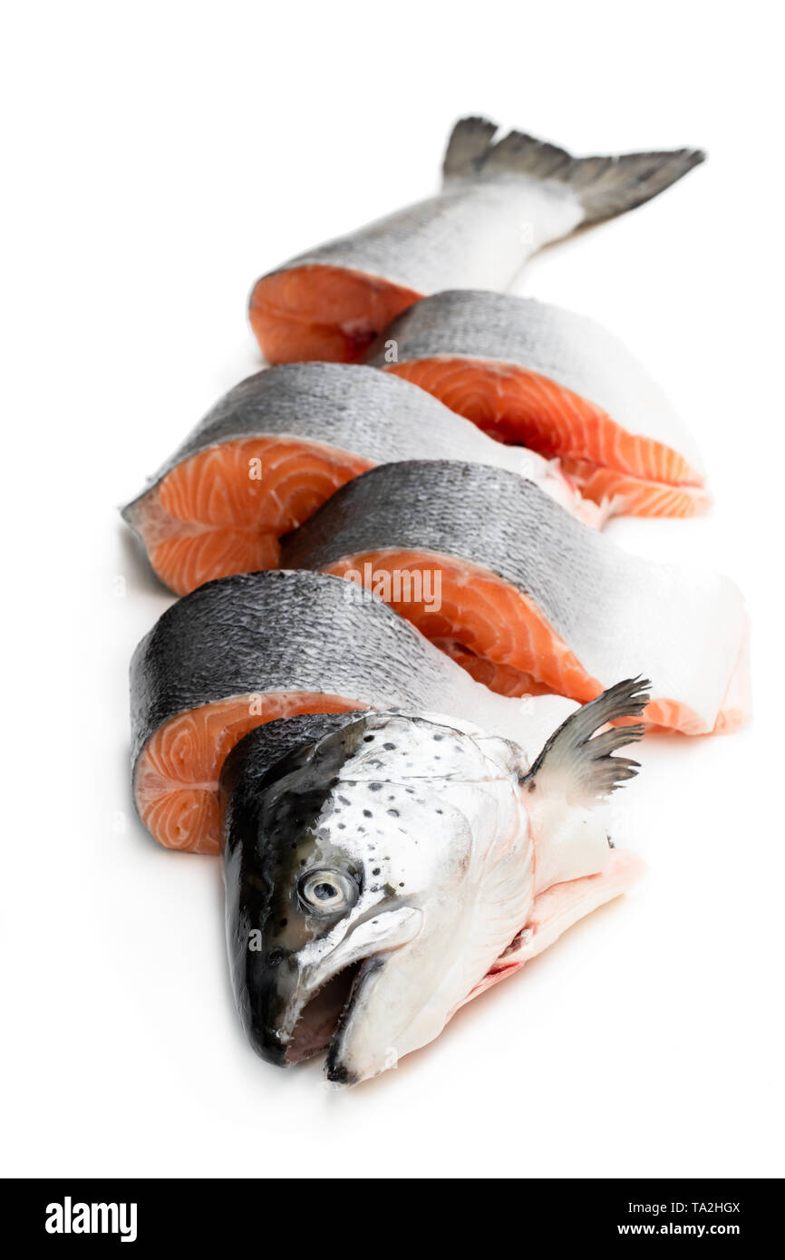 Atlantic salmon and fishing Cut Out Stock Images & Pictures - Alamy