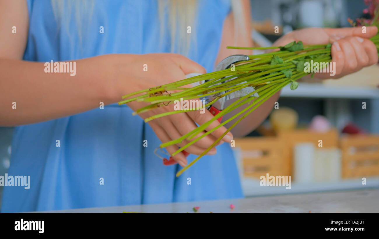 Professional florist cutting flower stems at studio Stock Photo - Alamy