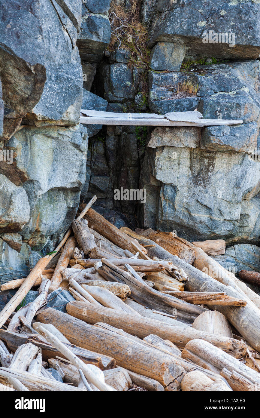 Cracked rocky cliff with driftwood on the shoreline of Sargeamt Bay on ...