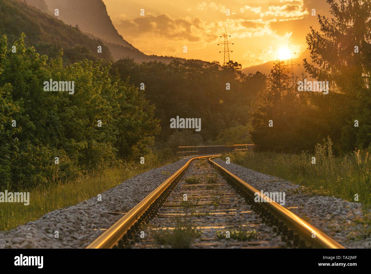 A railroad going through a forest with sunlight Stock Photo - Alamy