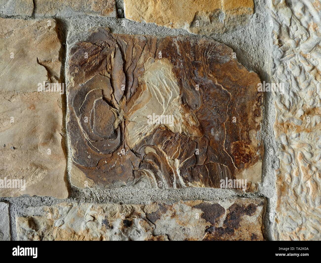 Closeup image of a natural paving stone embedded in a retaining wall ...